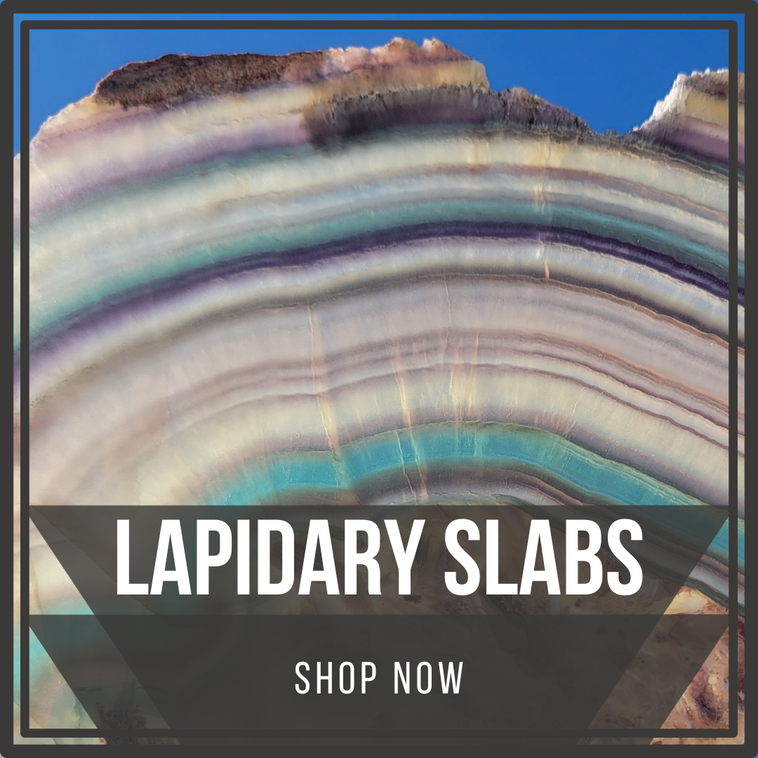 Lapidary Slabs — In Stone Fossils
