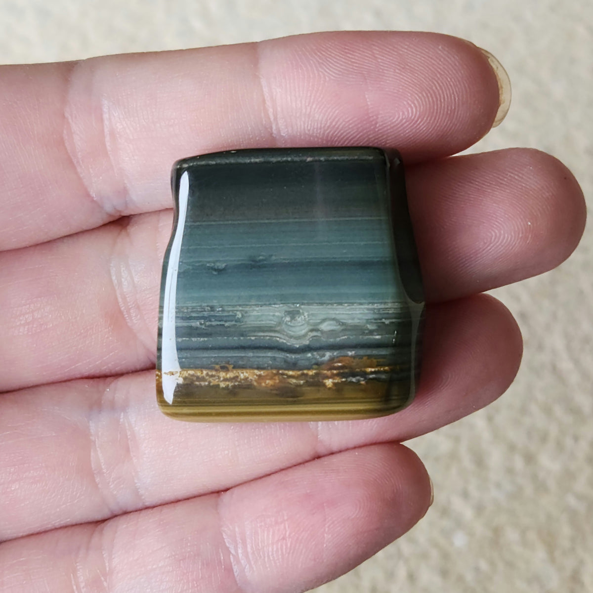 Gary Green Jasper (Larsonite) | Oregon 8947225067742 — In Stone Fossils