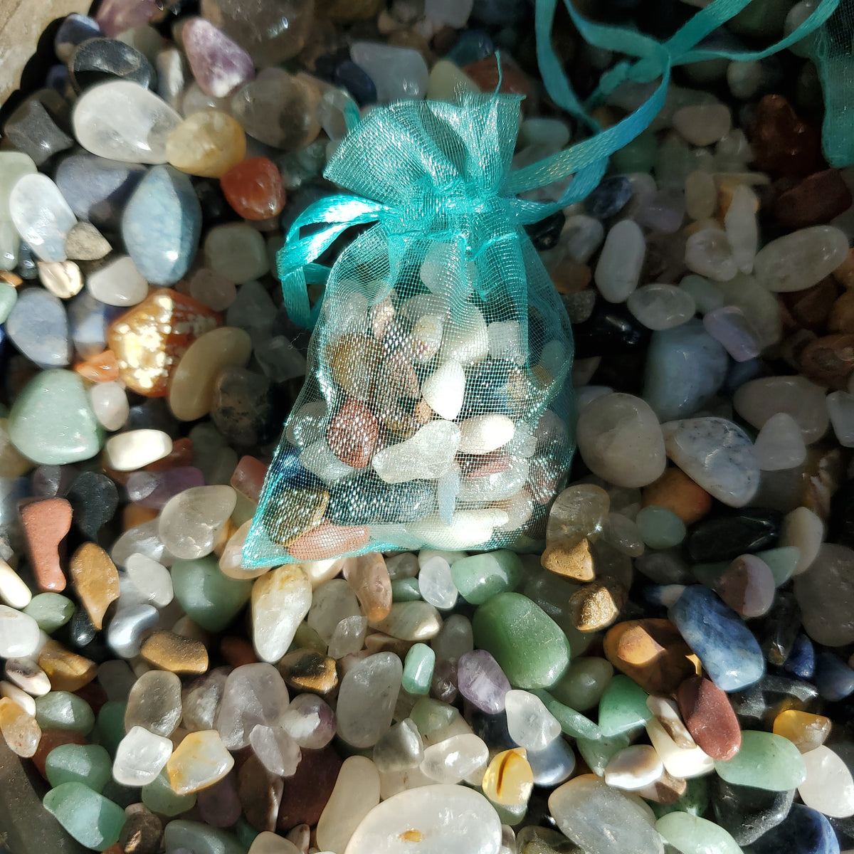 Tiny Gem Pouch 5527981228187 — In Stone Fossils