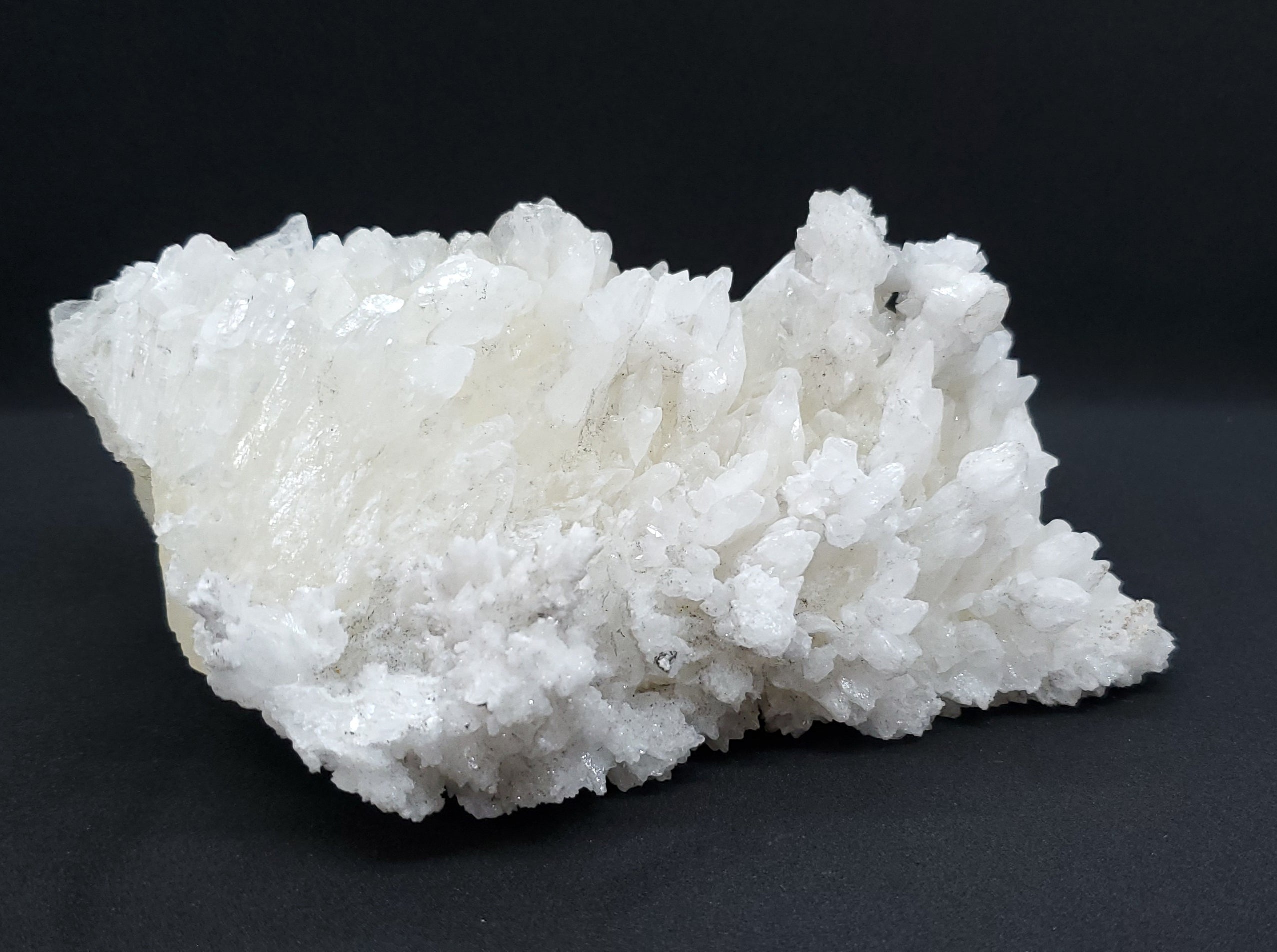 Mexican Aragonite 5702596329627 — In Stone Fossils