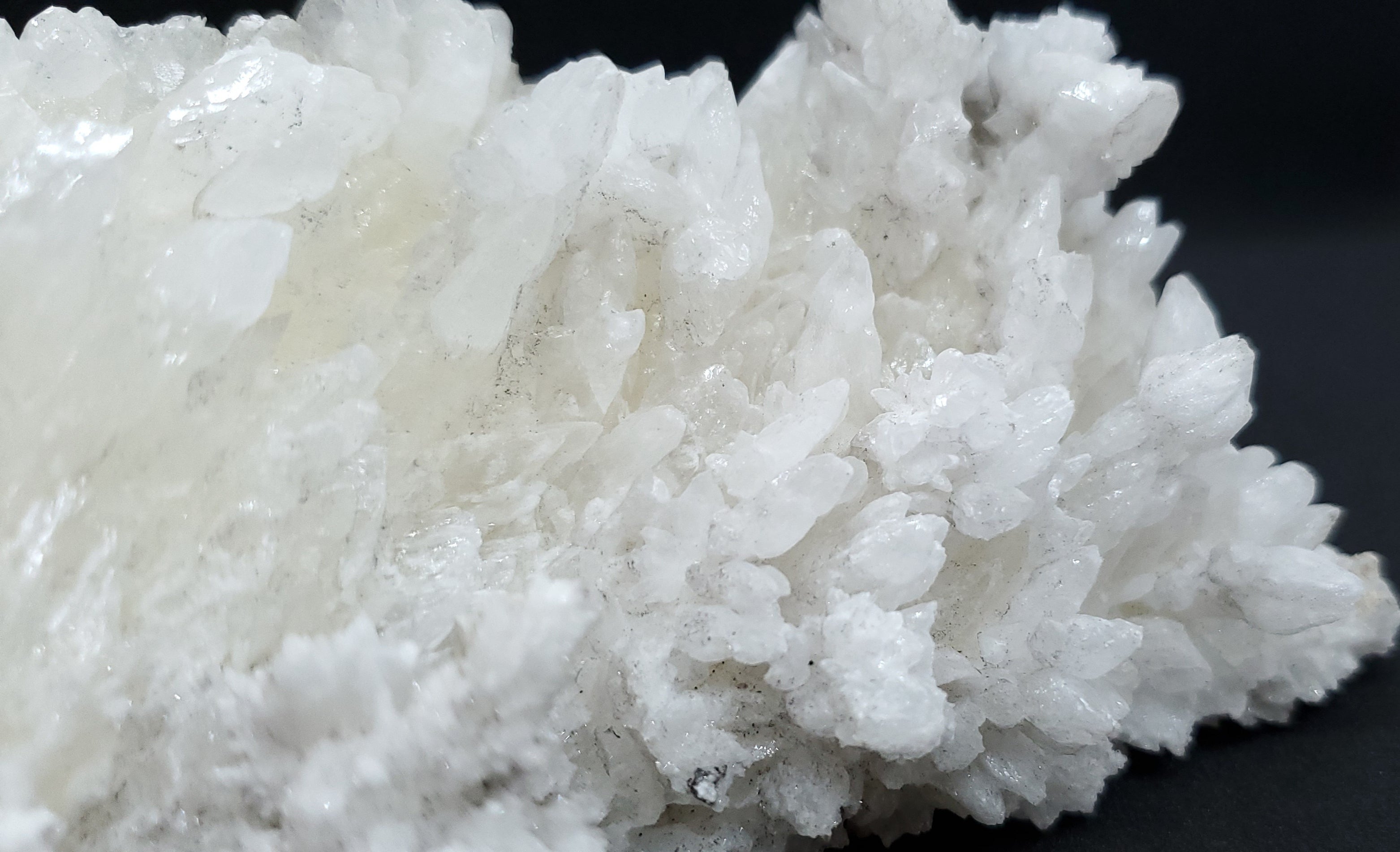 Mexican Aragonite 5702596329627 — In Stone Fossils