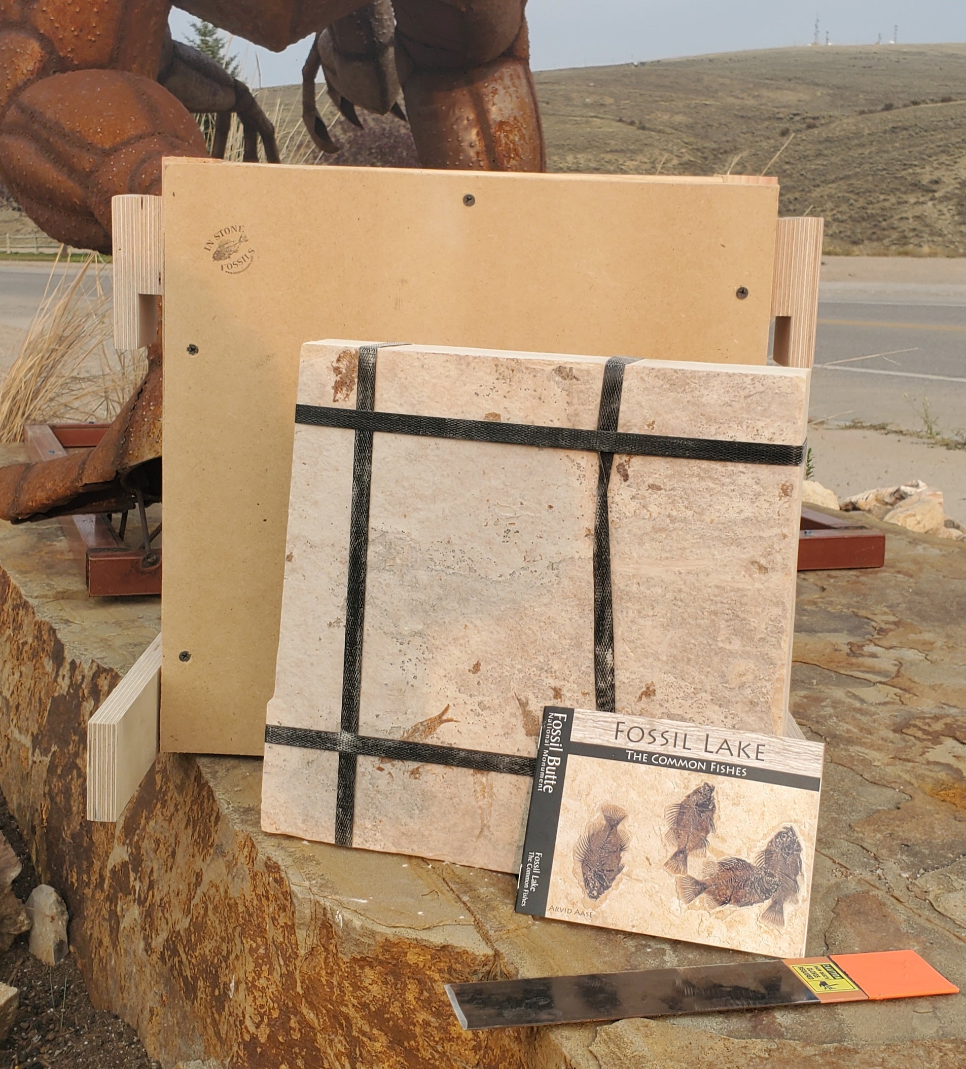 Fossil Preparation Tools For Sale | InStoneFossils.com — In Stone Fossils
