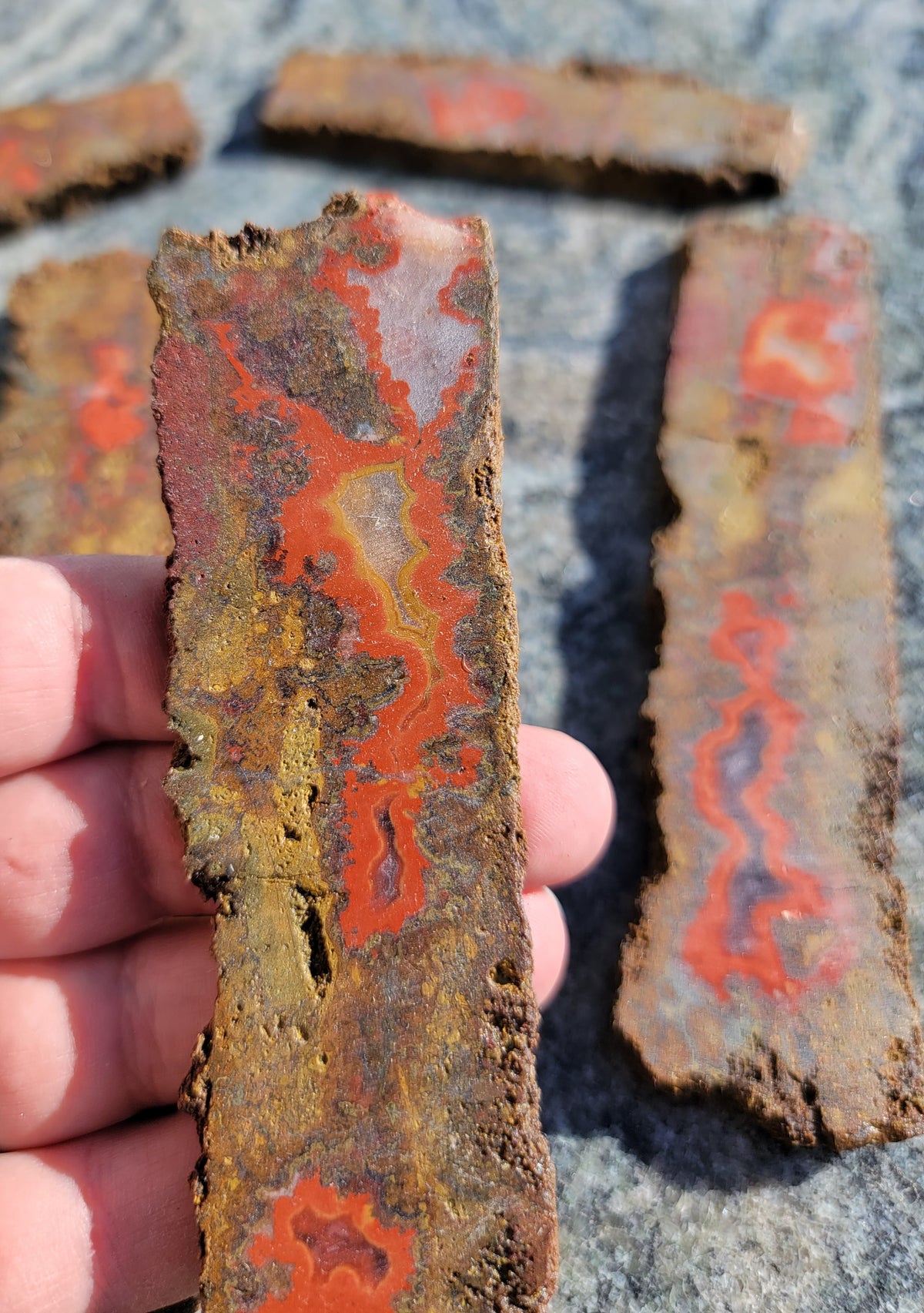 Moroccan Seam Agate | Rough | Lot of 6 | A Cabber's Dream 7875444703454 ...